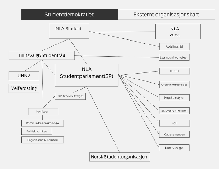 Elections :: Student demokratiet NLA